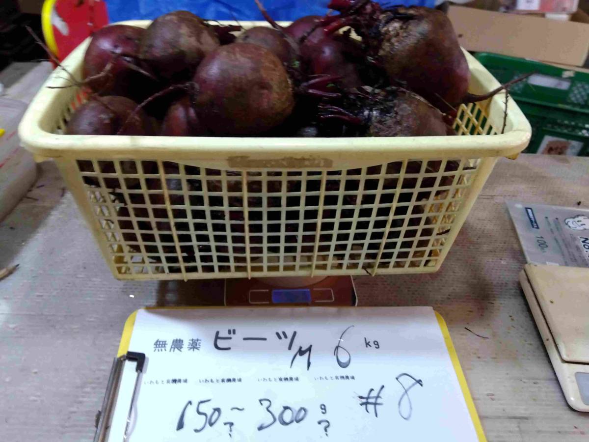【未使用】ビーツM 青森県産 6kg#8 150~300g程度 3250円 無農薬無化学肥料 いわもと有機農場の落札情報詳細 - ヤフオク落札価格検索 オークフリー