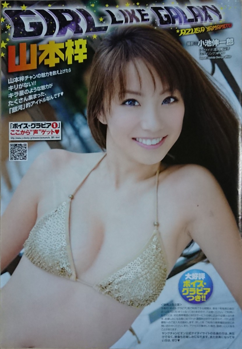 【目立った傷や汚れなし】同梱可！ 山本梓 雑誌切り抜き 8P B5サイズ②の落札情報詳細 - Yahoo!オークション落札価格検索 オークフリー