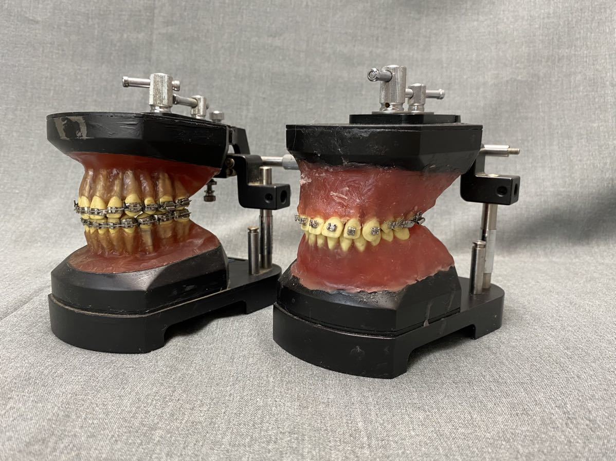 【やや傷や汚れあり】M6226【rm rocky mountain morita corp】歯科技工 タイポドント 矯正用咬合器 2個まとめて 殖立済の落札情報詳細 - ヤフオク落札価格検索 ...