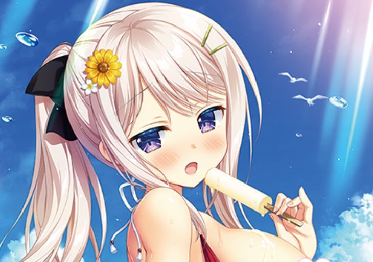 【未使用】AMBITIOUS MISSION Enjoy Summer 有瀬あてな B2タペストリー えっちver. 水着 アンビシャスミッション アンミツ サガプラネッツの落札情報詳細 ...