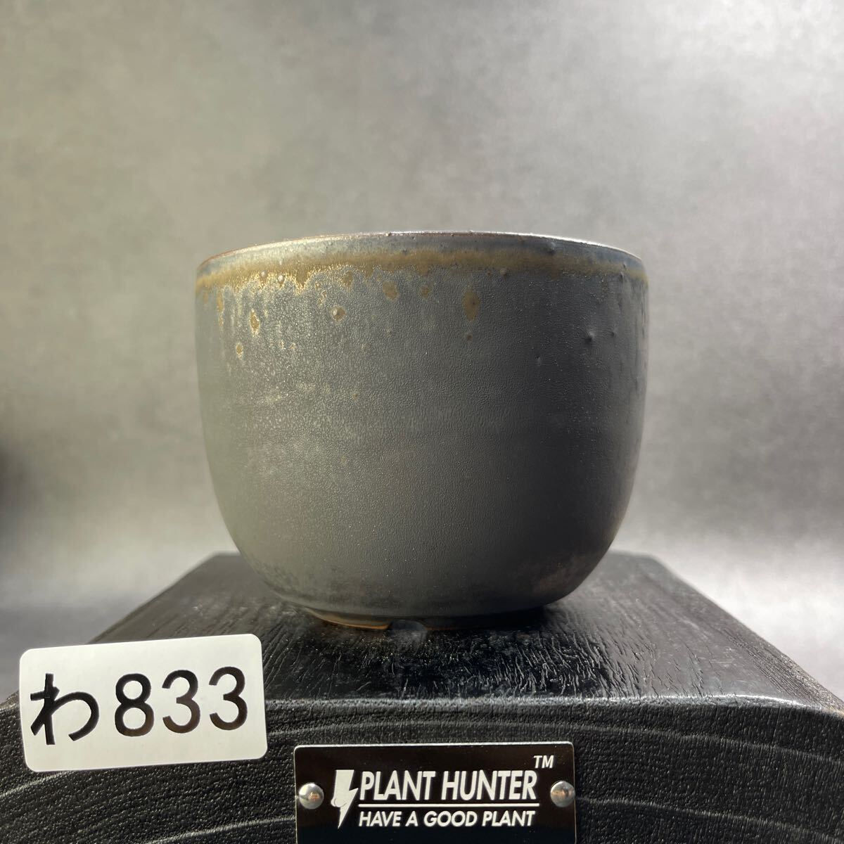 【未使用】わ833 Hand Made 植木鉢 陶器 検（塊根植物 アガベ パキプス invisible ink raw life ...