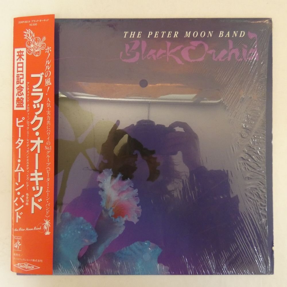 【やや傷や汚れあり】48034280;【US盤/解説一体帯付/シュリンク】The Peter Moon Band / Black Orchid ...