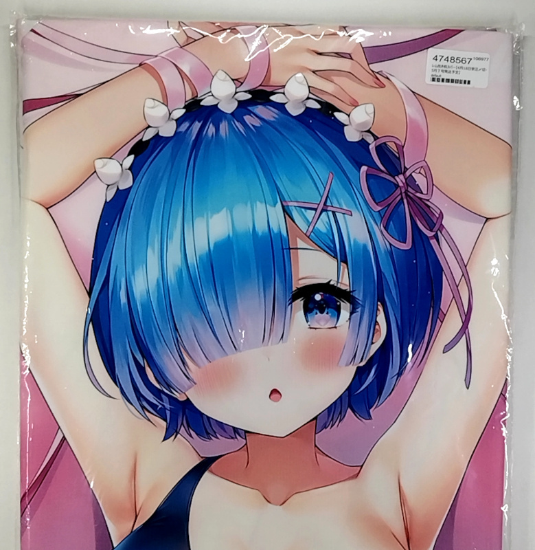 【未使用】ハチゴ あやみ Re:ゼロから始める異世界生活 レム スク水 抱き枕カバー COMIC1 BS祭 / リゼロ A&Jライクトロン 正規品 新品未開封 送料無料の落札情報詳細 ...