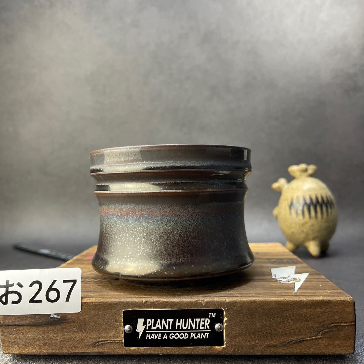 【未使用】お267 M Hand MADE 植木鉢 陶器 検（塊根物 アガベ パキプス invisible ink raw life factory SRL 伝市鉢カタチ製作所 グラキリス）の ...