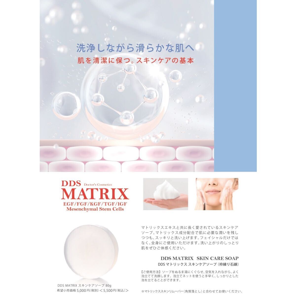 【未使用】アースジャパン AiRSJAPAN DDS マトリックス スキンケア ソープ 2個セット 幹細胞 全身石鹸 アイテック 無添加石鹸 生命科学研究所の落札情報詳細 - Yahoo ...