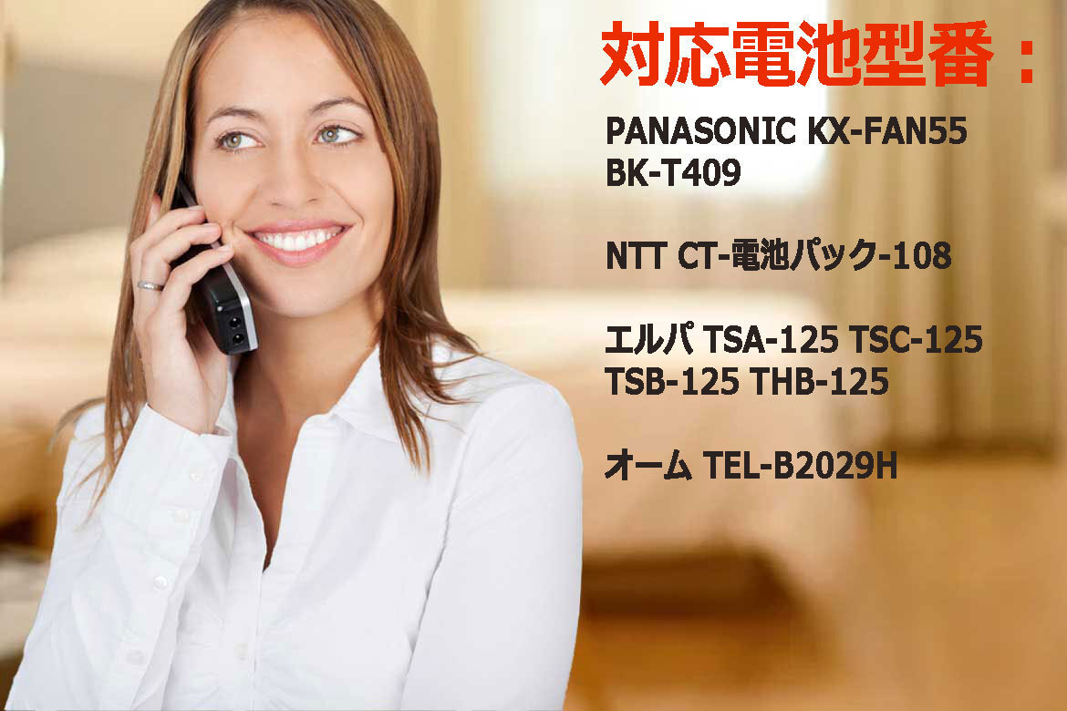 【未使用】BT14 パナソニック KX-FAN55 BK-T409 オーム電機 TEL-B2029H コードレス電話子機用互換充電池 子機バッテリー 子機用バッテリーの落札情報詳細 ...