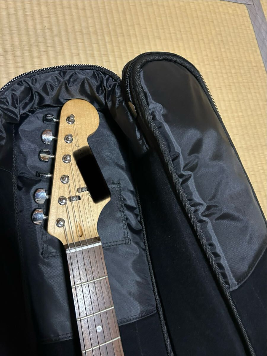 【目立った傷や汚れなし】美品 RITTERリッター RGP5-DEエレキギター 用 ソフトケース ギグバッグ ギターケース ストラト ...