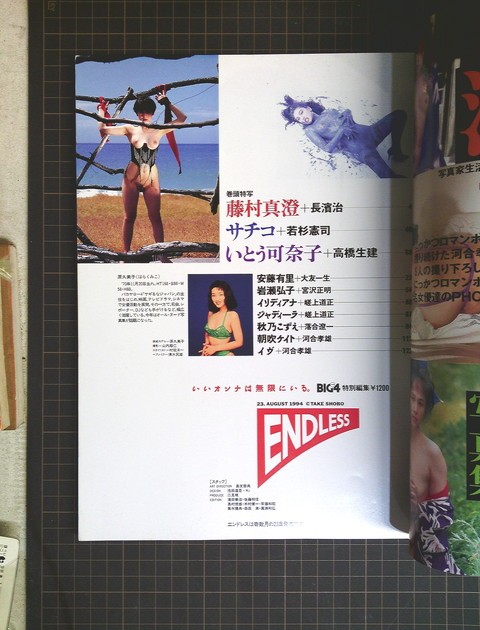 【中古】BIG4特別編集 ENDLESS VOL.5 安藤有里 岩瀬ヒロコ いとう可奈子 秋乃こずえの落札情報詳細 - Yahoo!オークション落札価格検索 オークフリー