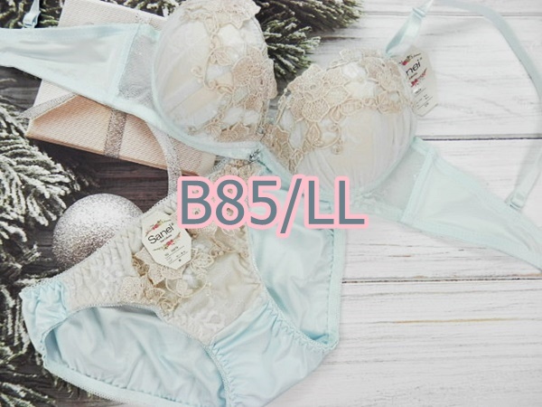 【未使用】PS44-B85/LL ブラ＆ショーツセット 新品/青系 花柄刺繍・レースの落札情報詳細 - ヤフオク落札価格情報 オークフリー