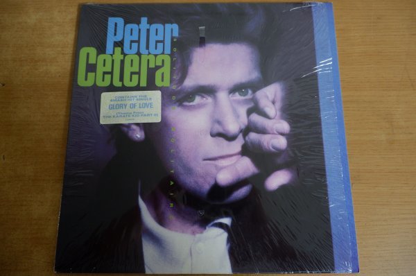 【やや傷や汚れあり】I7-003＜LP/US盤/美盤＞ピーター・セテラ Peter Cetera /「Solitude / Solitaire」の落札情報詳細 - ヤフオク落札価格検索 オークフリー
