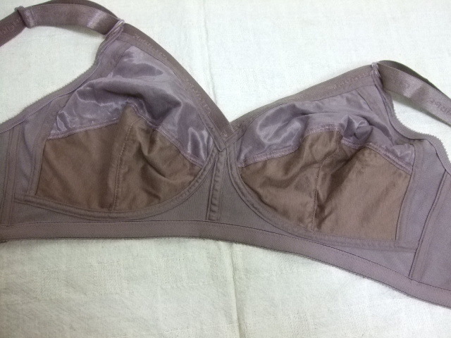 【やや傷や汚れあり】S2171♪シャルレ*しっかり補整・ロングセラーブラジャーC95*ゆうパケット送料210円♪FA023 の落札情報詳細| ヤフオク落札価格情報 オークフリー