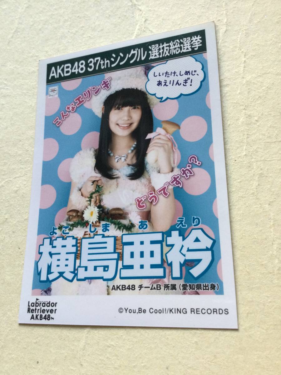 【傷や汚れあり】AKB48 37th シングル選抜総選挙 AKB48 チームB 所属 (愛知県出身) 横島 亜衿 Labrador Retriever AKB48 他にも出品中 説明文必読 の ...