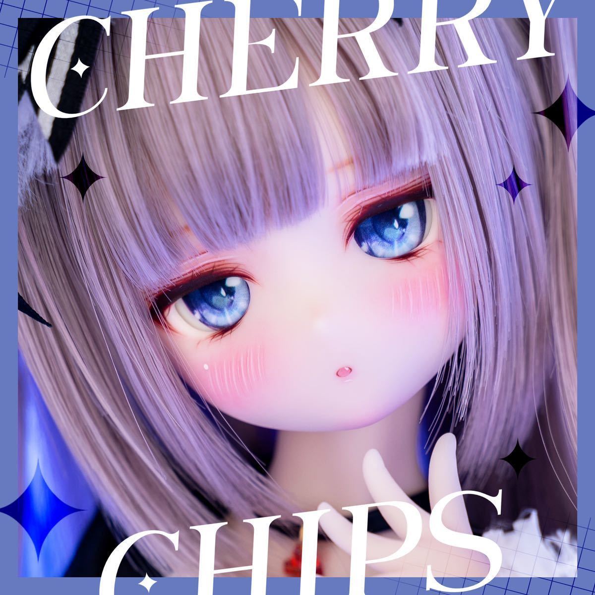 【未使用に近い】【Cherry Chips】DDH-29SW肌カスタムヘッド＋アイの落札情報詳細 - ヤフオク落札価格検索 オークフリー
