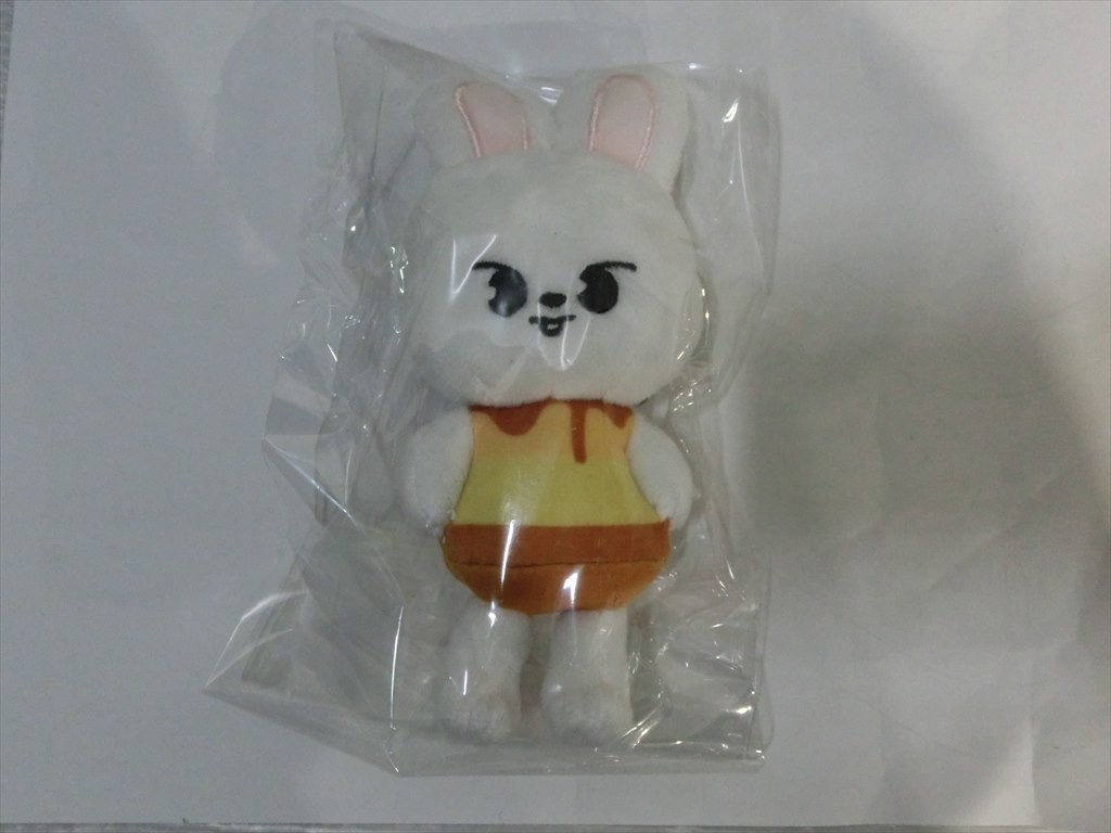 【未使用】T【W2-83】【60サイズ】 未開封/Stray Kids「MANIAC ENCORE」/Leebit リービット バッグチャーム ...