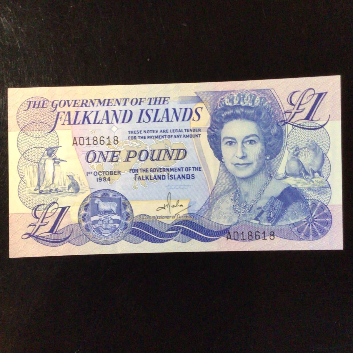 【未使用に近い】World Paper Money FALKLAND ISLANDS 1 Pound【1984】の落札情報詳細 - ヤフオク ...