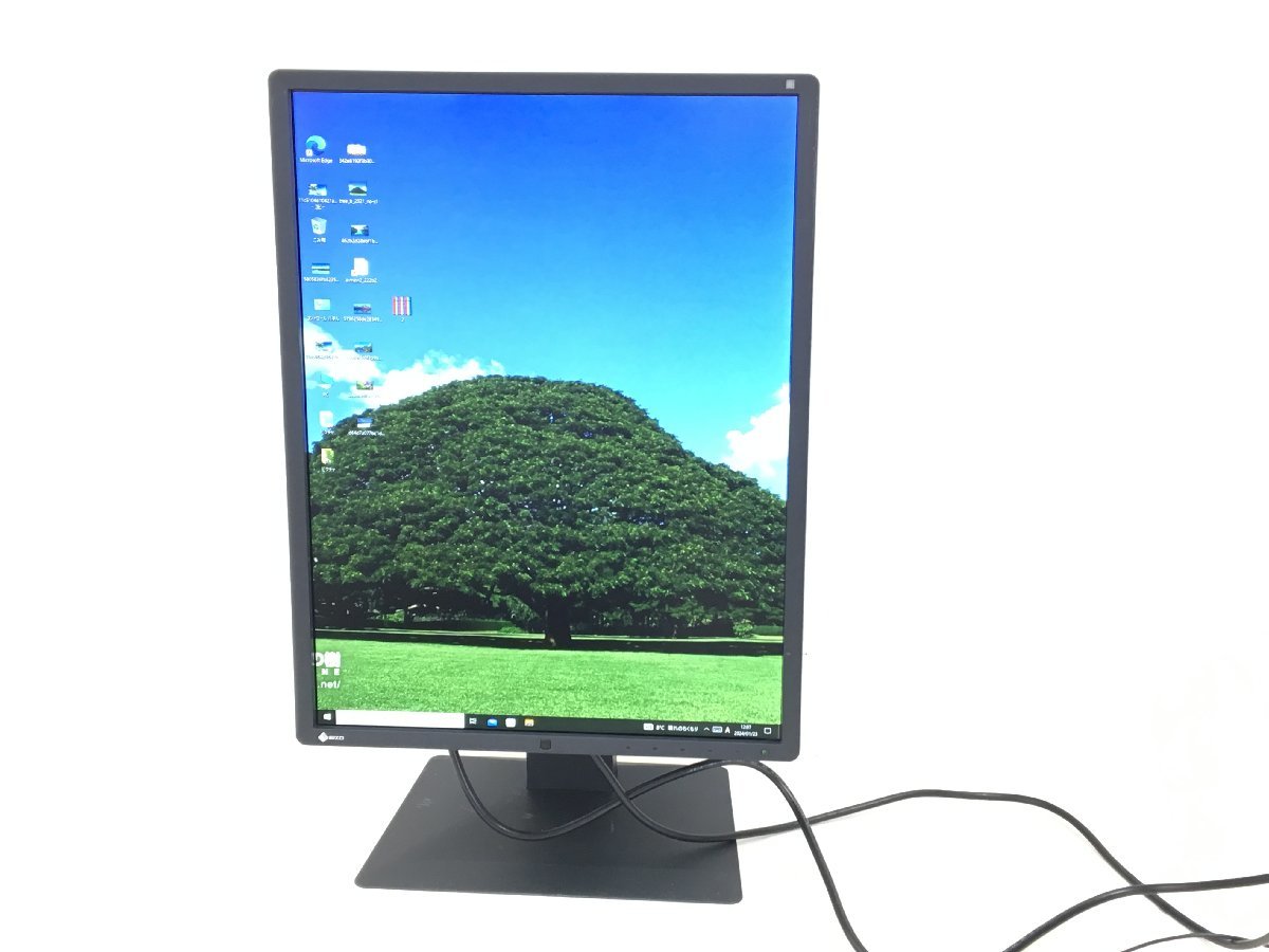 【傷や汚れあり】(使用時間：4395H）EIZO 21.3型 RadiForce RX350液晶モニター 高さ調整 縦回転 2016年製 輝度 ...
