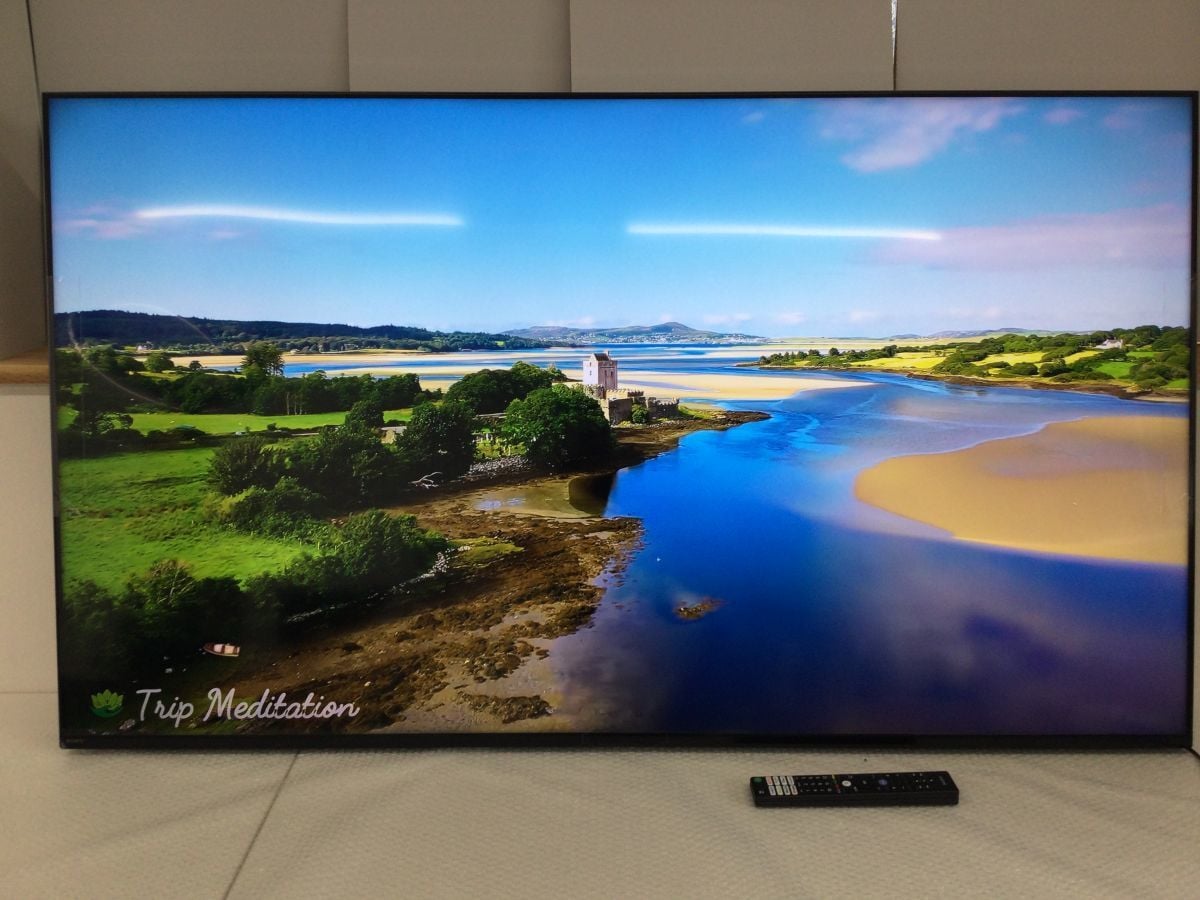 【消費税なし・美中古品】KJ-49X8500F/ソニー/SONY/BRAVIA/ブラビア/49型/液晶テレビ/4K対応/X8500Fシリーズ/ブラック/18年製/1129aの落札情報詳細 ...
