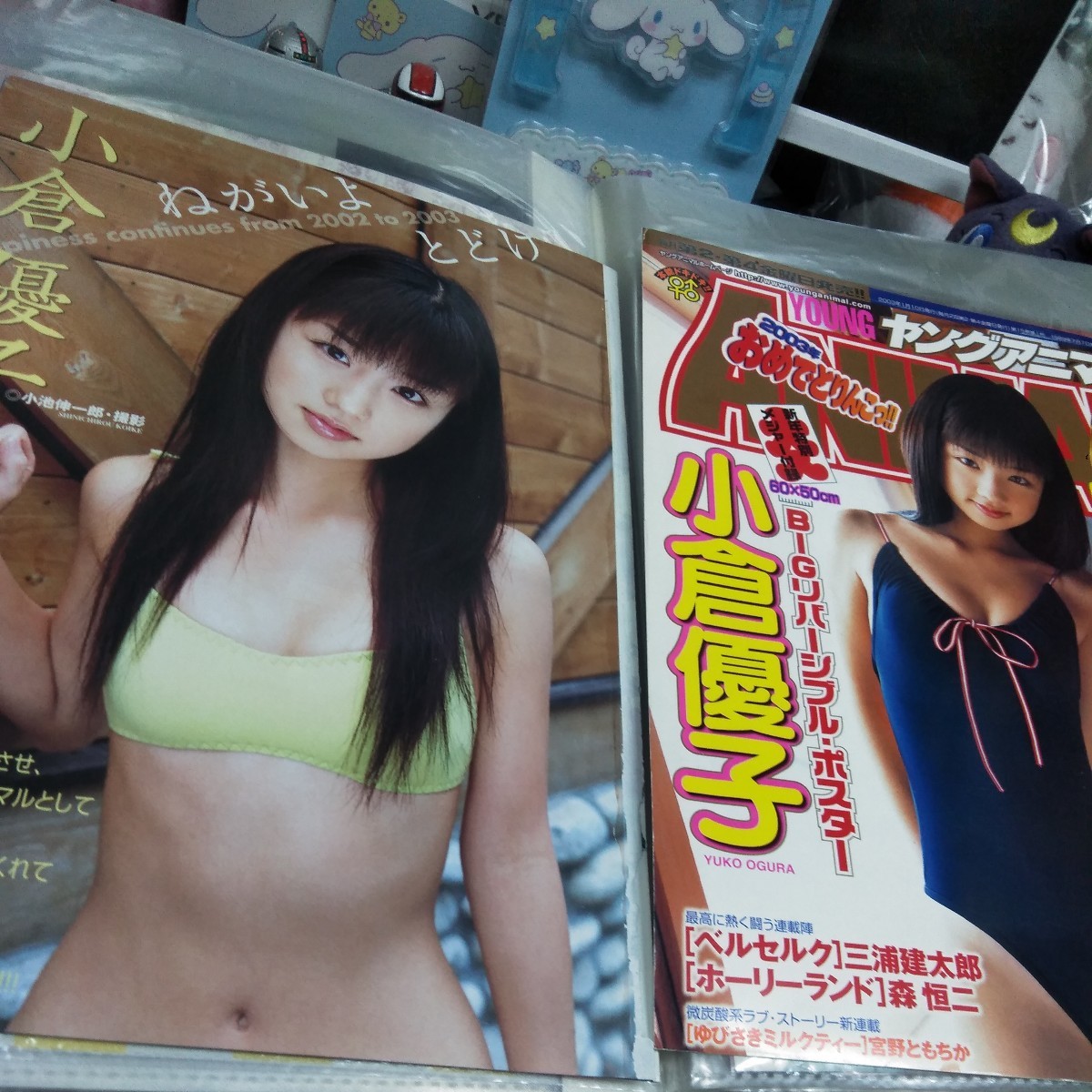 【目立った傷や汚れなし】切り抜き その65 ヤングアニマル 2003 年 1号 小倉優子 9ページ 告知ページ2ページ 表紙ありの落札情報詳細