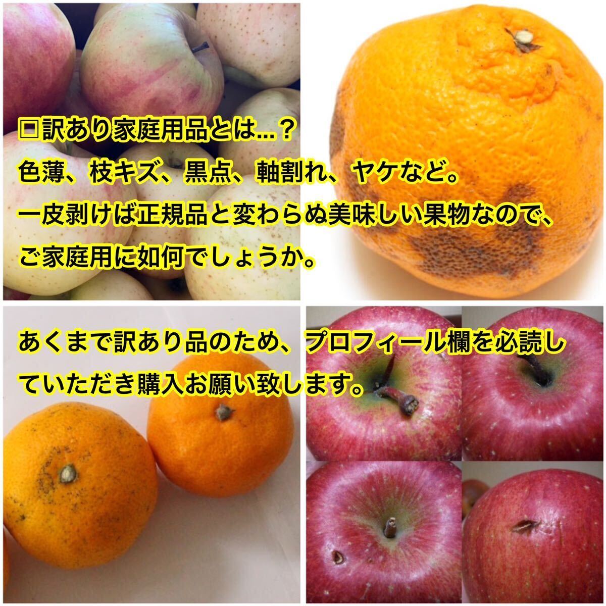 【未使用】c18山形産梅干し最適梅 5kg〈訳あり家庭用〉の落札情報詳細 - Yahoo!オークション落札価格検索 オークフリー