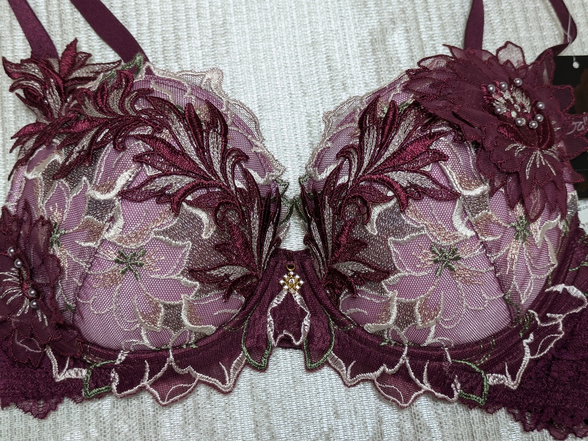 【未使用】【送料込】新品タグ付 ワコール サルート E70 52g ブラジャー BTJ452 WIの落札情報詳細 - ヤフオク落札価格検索 オークフリー