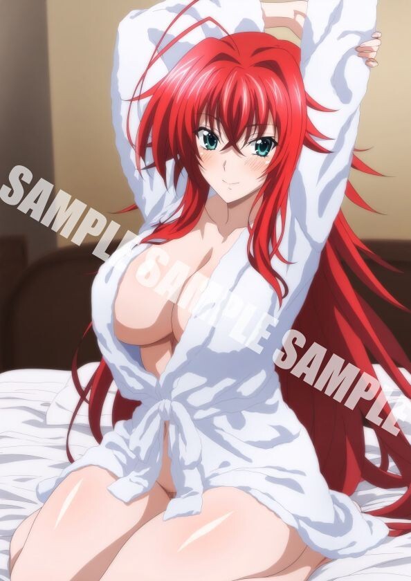 【未使用に近い】【高画質】A4サイズ イラストポスター ブロマイド 3487 High School DxD ハイスクールD×D リアス・グレモリーの落札情報詳細 - Yahoo!オークション ...