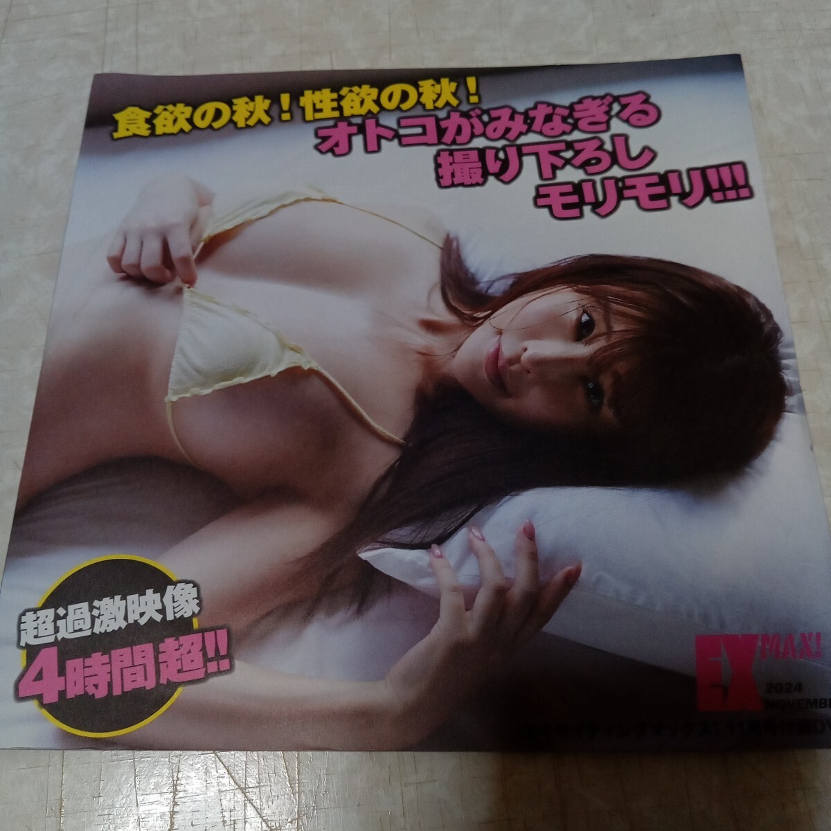 【中古】エキサイティングマックス！スペシャル 2009年10月号 木口亜矢 鈴木茜 明日花キララ 香西咲 宮内知美 の落札情報詳細 - Yahoo!オークション落札価格検索 オークフリー