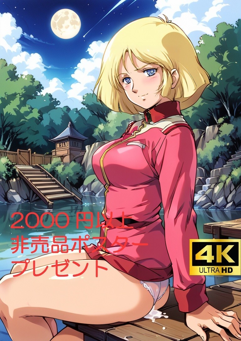 【未使用】A4 daO001 美女ポスター セイラ・マス セイラ 機動戦士ガンダム ガンダム Z ヒロイン シャア アニメ 同人 イラスト iskの落札情報詳細 - Yahoo!オークション ...