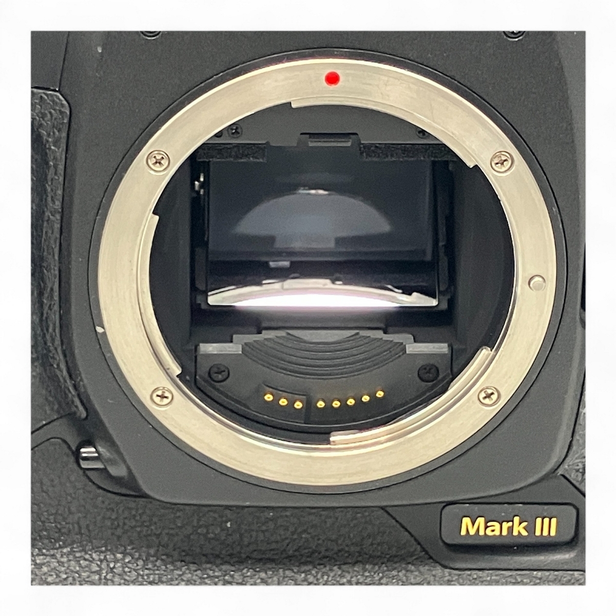 【全体的に状態が悪い】Canon EOS-1Ds Mark III DS126161 ボディ AFデジタル 一眼レフカメラ キヤノン ジャンク Z9948650の落札情報詳細 - Yahoo ...