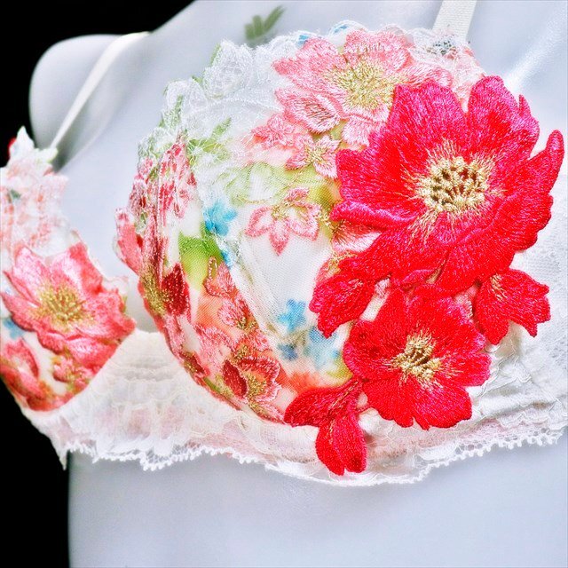 【目立った傷や汚れなし】CX3-855//Wacoal/ワコール/NBF/BTJ701/人気のサルート/Rich Veil Bra☆ときめく ...