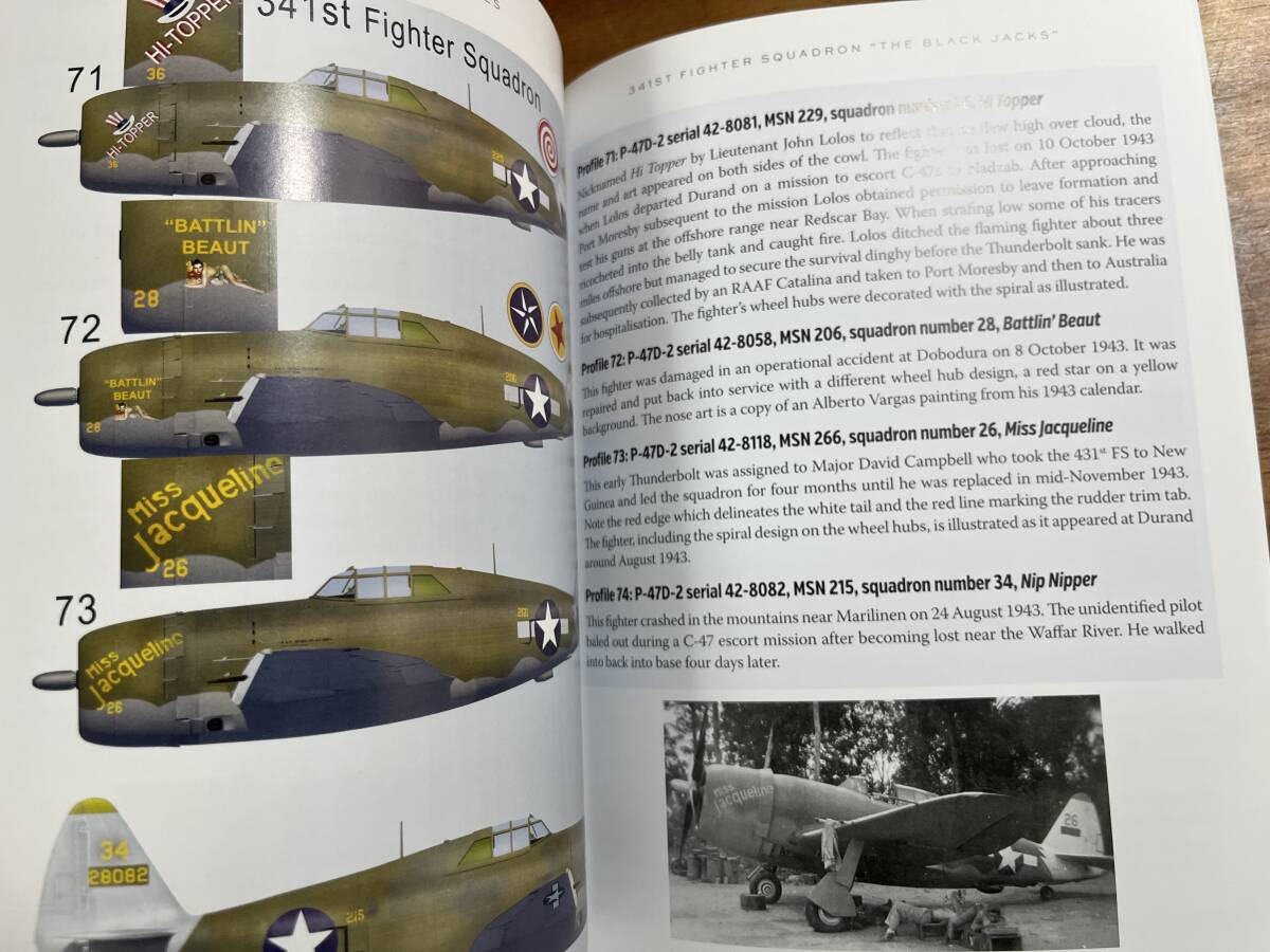 【傷や汚れあり】PACIFIC PROFILES VOLUME 10 Allied Fightews:p-47D Thunderbolt ...