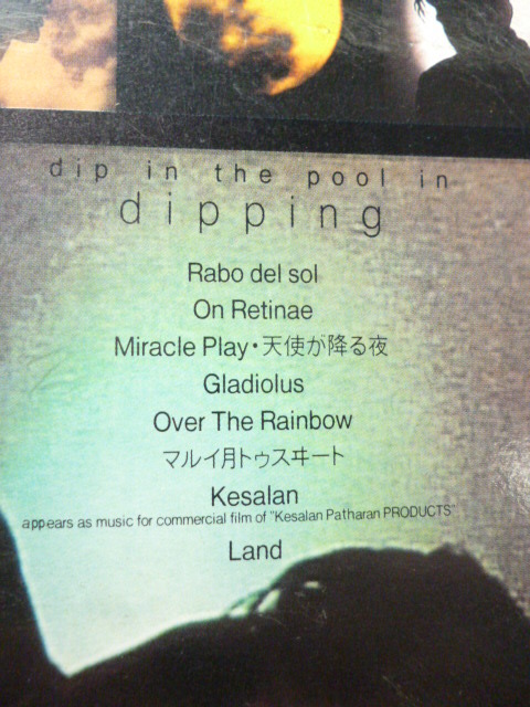 【やや傷や汚れあり】超レア VHSビデオ dip in the pool dipping ディップインザプール/ディッピング 中野裕之 シティポップの落札情報詳細 - Yahoo!オークション ...