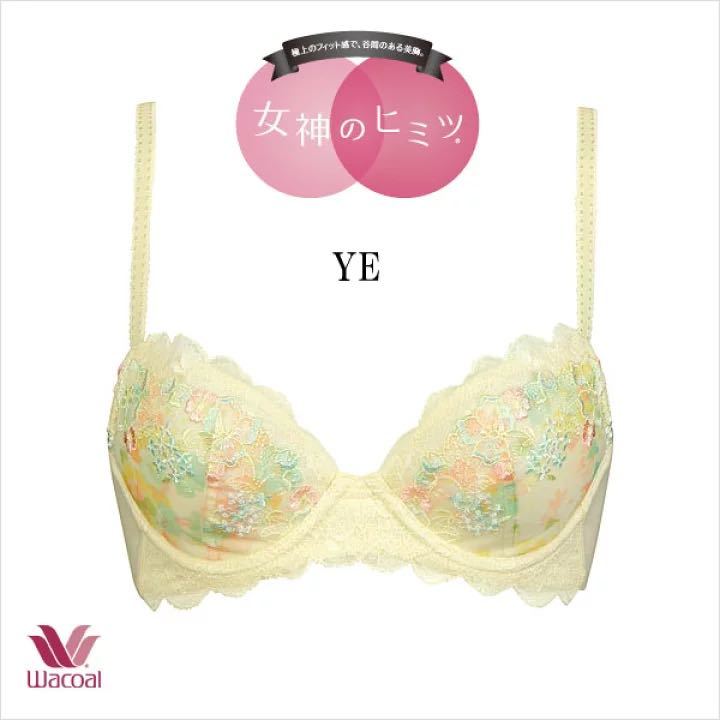 【未使用】wacoalワコール 女神のヒミツ ブラジャー E75 BRB486 の落札情報詳細| ヤフオク落札価格情報 オークフリー