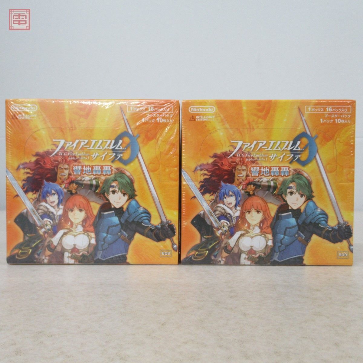 【傷や汚れあり】【現状】C97 ファイアーエムブレムサイファ エーデルガルト B2Wスエードタペストリー の落札情報詳細| ヤフオク落札価格情報 オークフリー