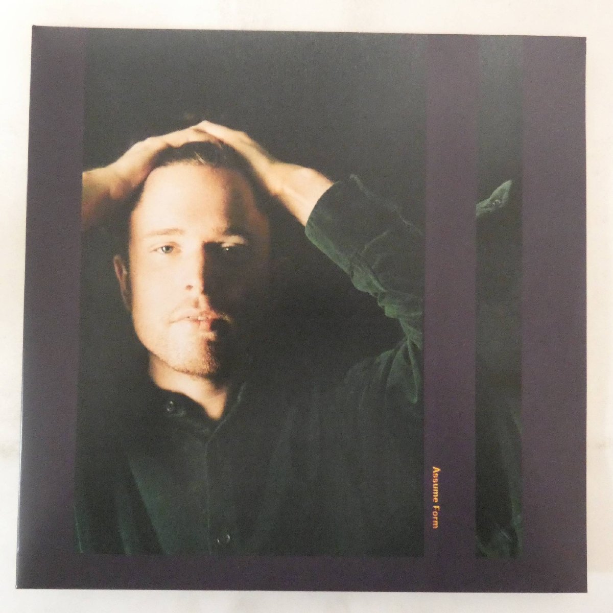 【やや傷や汚れあり】46004988;【UK&Europe盤/2LP/180g重量盤】James Blake / Assume Form の ...