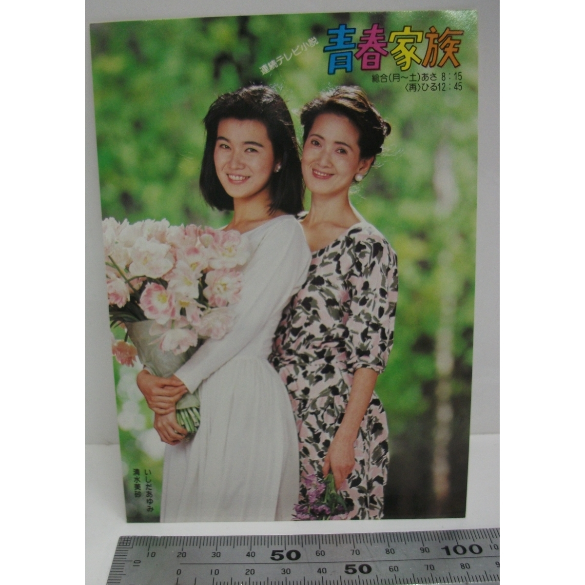 【全体的に状態が悪い】[41] 詳細不明 Nhk 連続テレビ小説 青春家族 番組オリジナルはがき 清水美紗 いしだあゆみ A 中古品 現状