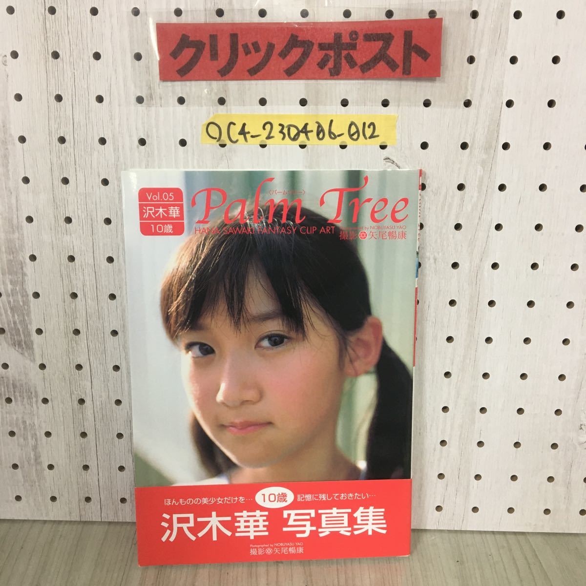 【傷や汚れあり】 パームツリー Palm Tree Vol.10 あおい美海 12歳 写真集 矢尾康 2003年 平成15年11月29日 初版 アートハウス・ゴンの落札情報詳細 - ヤフオク ...