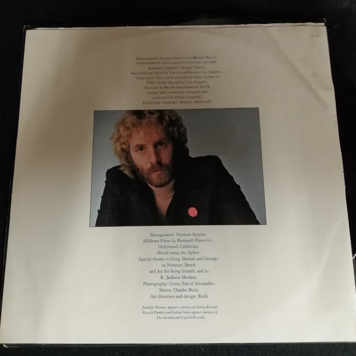 【傷や汚れあり】C07 中古LP中古レコード アンドリューゴールド all this and heaven too ANDREW GOLD 6E-116 PSC-W コンプトンプレス カット盤 ...