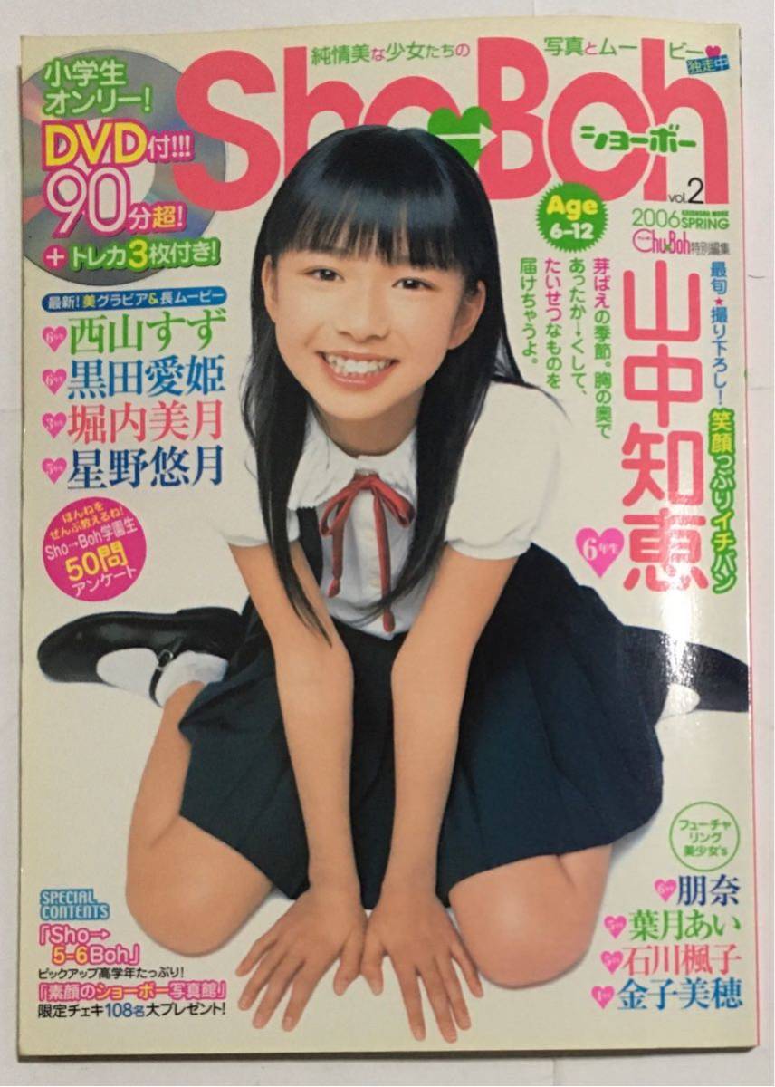 【傷や汚れあり】Sho-Boh（ショーボー） vol.2 DVD・トレカ 付 の落札情報詳細 - Yahoo!オークション落札価格検索 オークフリー