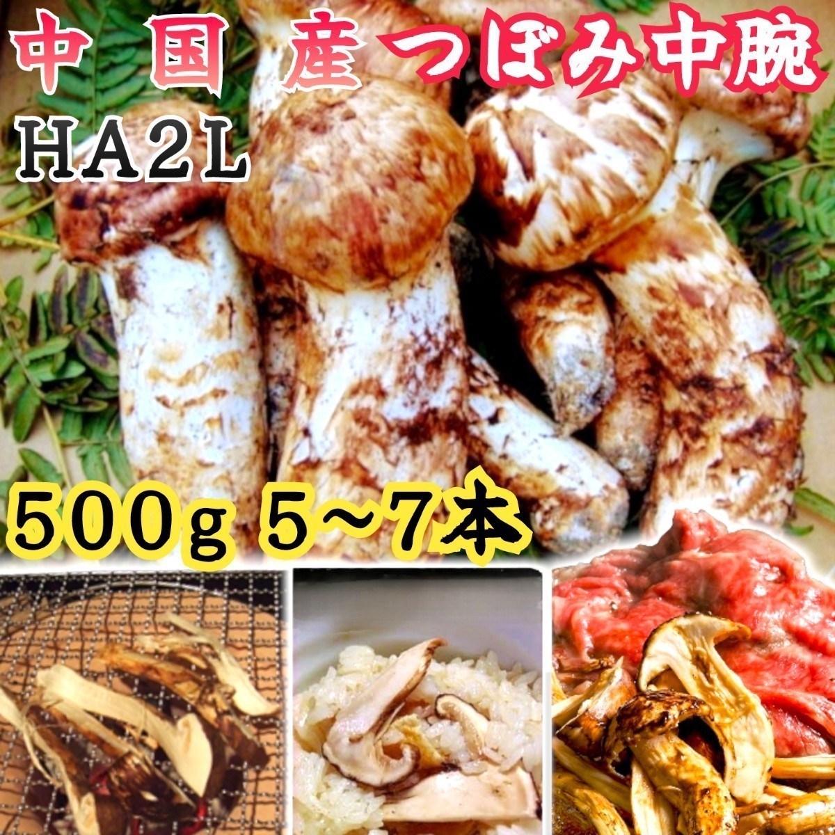 【未使用】中国産 L~2L特大【天然 つぼみ 松茸 約450~500g】 本数 5~7本 お中元 松茸すき焼き ギフト 贈答用 2の落札情報詳細 - ヤフオク落札価格検索 オークフリー