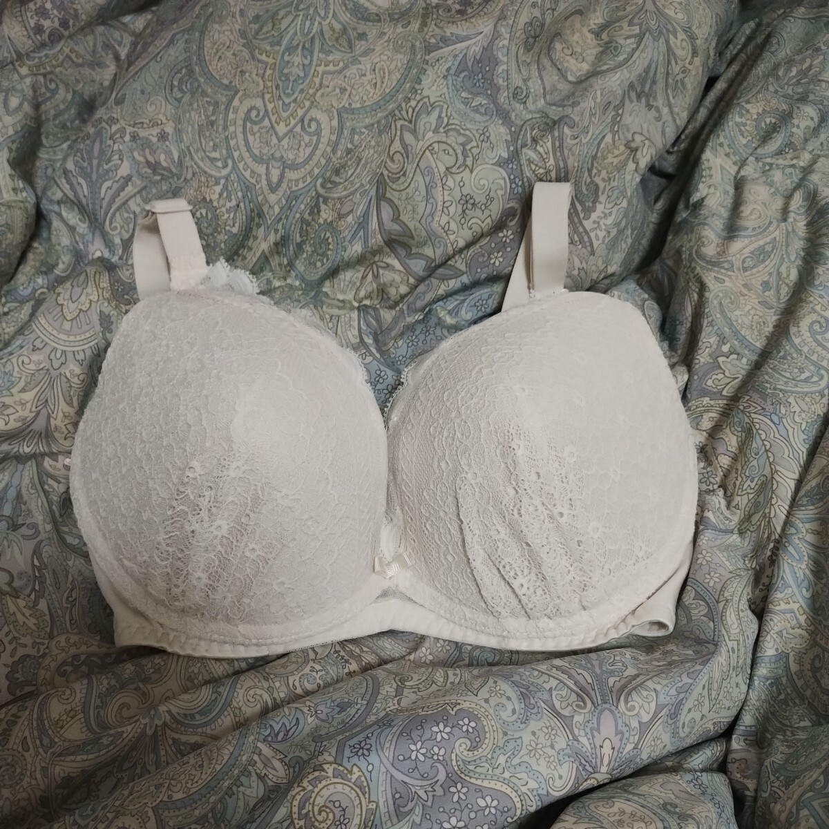 【新品】新品 タグ付き ショーツ Lサイズ Triumph トリンプ アモスタイルの落札情報詳細 - Yahoo!オークション落札価格検索 オークフリー