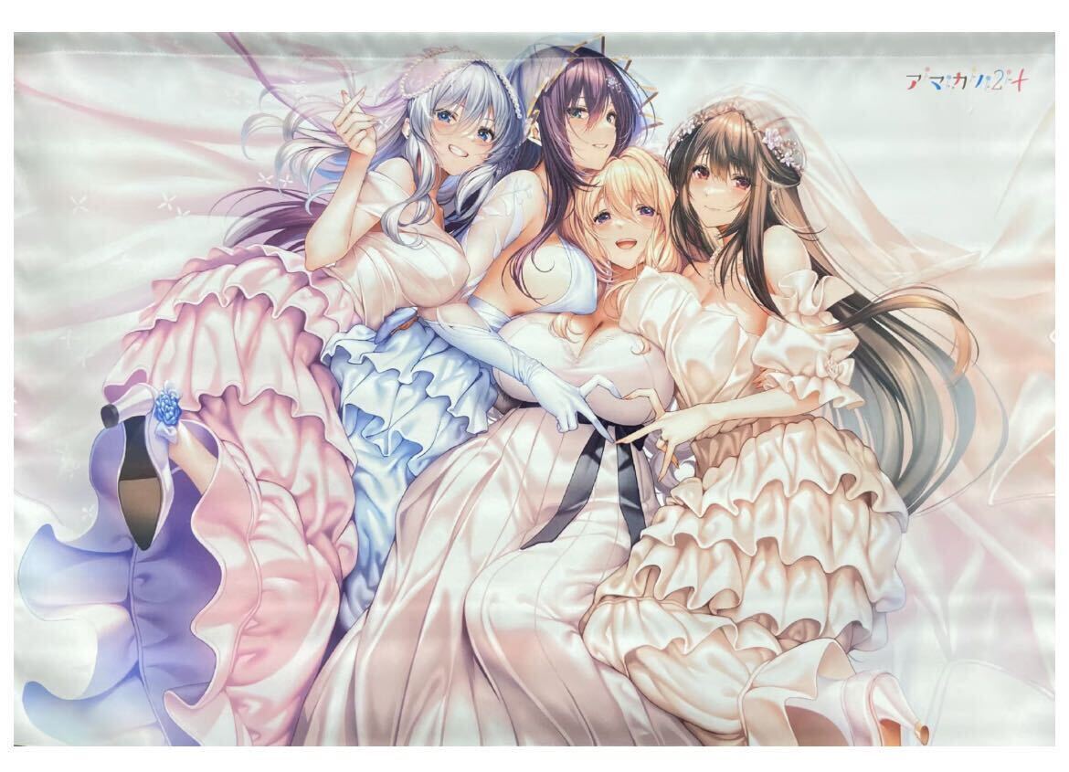 【未使用】アマカノ 2＋ B2Wスエードタペストリー あざらしそふと ピロ水の落札情報詳細 - Yahoo!オークション落札価格検索 オークフリー