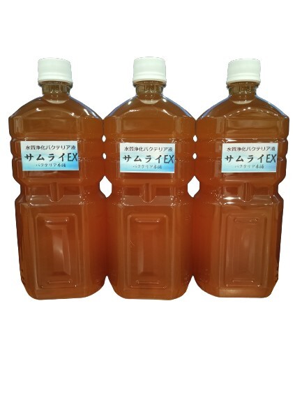 【未使用】【バクテリア本舗】サムライEX（3L）水質浄化バクテリア液 PSB/バチルス菌効果の落札情報詳細 - Yahoo!オークション落札価格検索 オークフリー