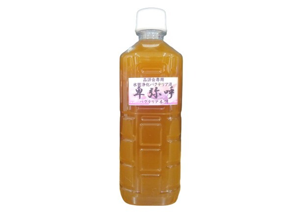 【未使用】【バクテリア本舗】卑弥呼（0.5L）水質浄化バクテリア液 PSB/バチルス菌効果の落札情報詳細 - Yahoo!オークション落札価格検索 オークフリー