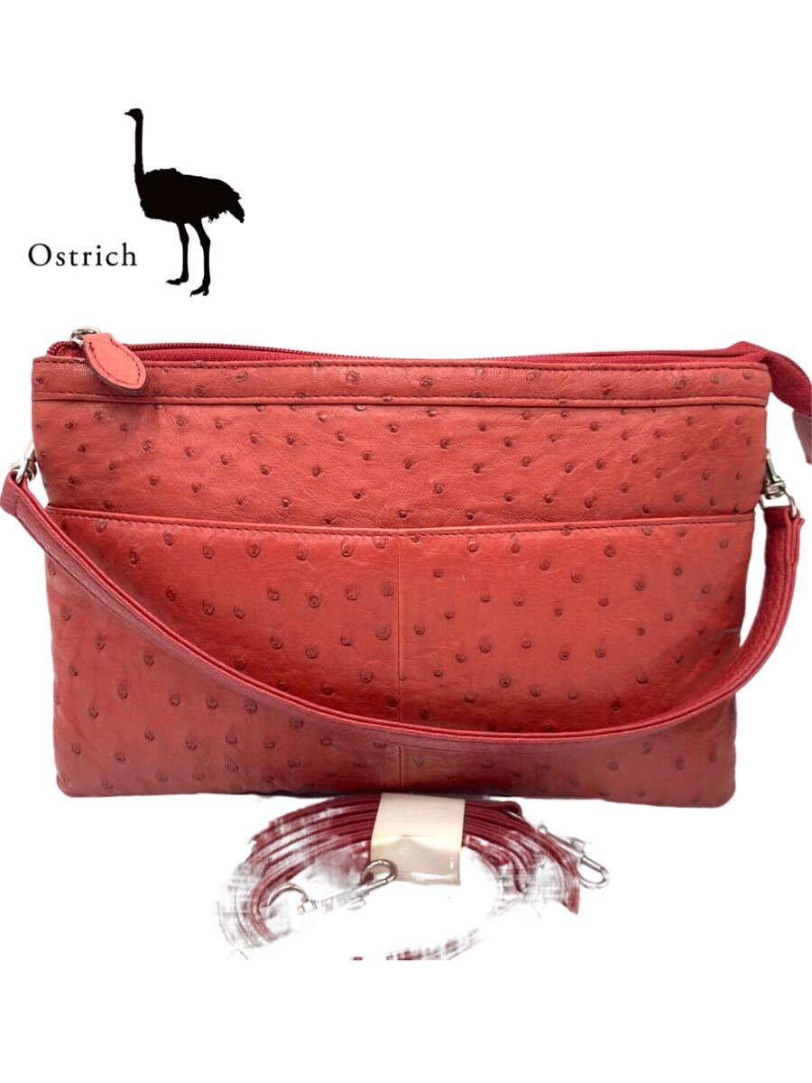 【目立った傷や汚れなし】1円超美品超高級OSTRICH オーストリッチ ロダニア ブランド レッド ハンドバッグ ダチョウ革 ショルダーバッグ 2way YP113の落札情報詳細 ...
