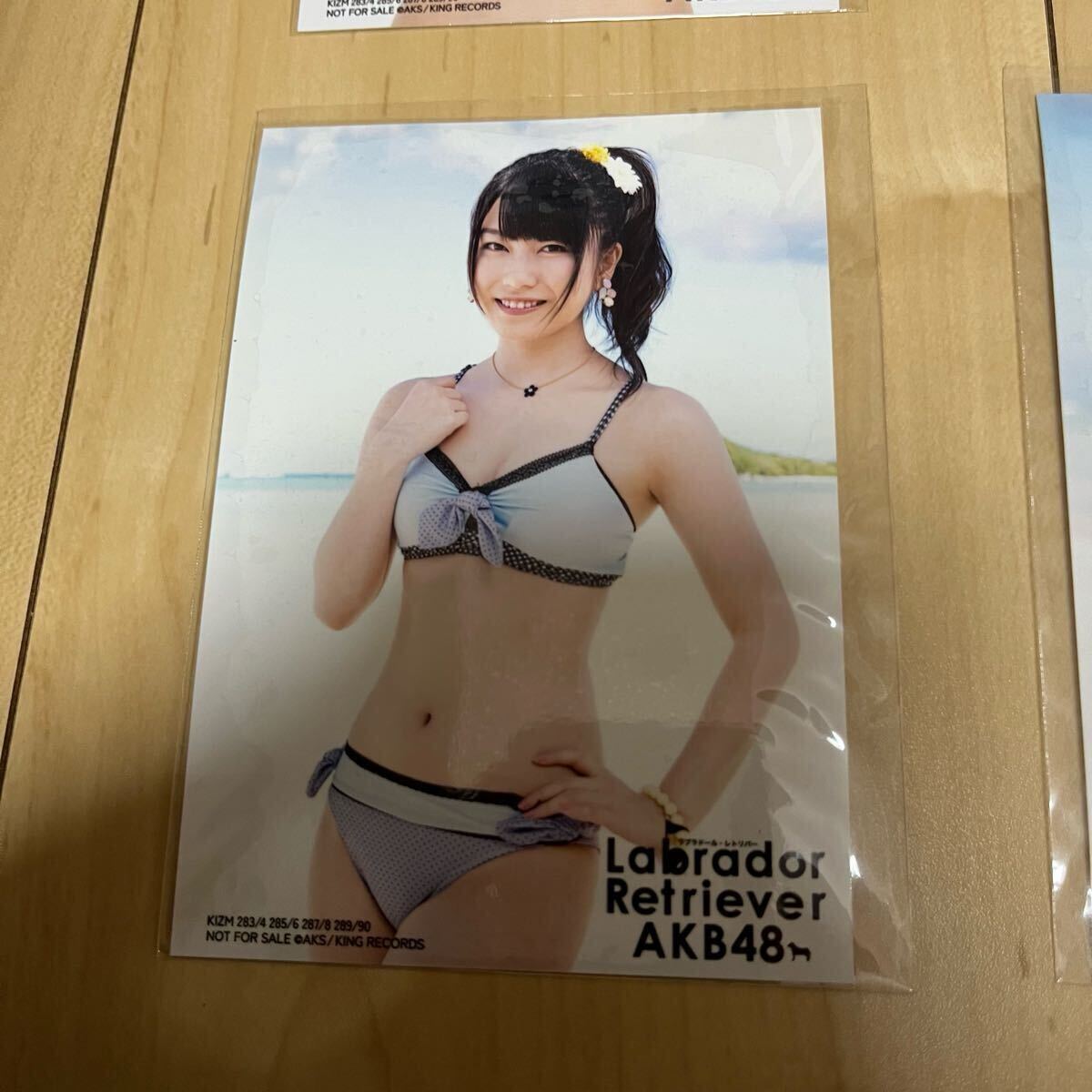 【中古】AKB48 SKE48 HKT48 高橋みなみ 水着 ラブラドール・レトリバー 特典 公式生写真 (2)の落札情報詳細 - Yahoo!オークション落札価格検索 オークフリー