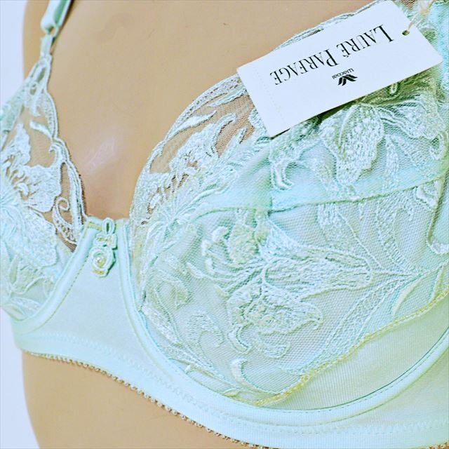 【未使用】CX2-347/新品タグ付き/Wacoal/ワコール/日本製/LAURE PARFAGE☆大きいB80サイズ☆エレガントな補正ブラ※一番安価で送料ゆうパケット250円の落札情報詳細 ...