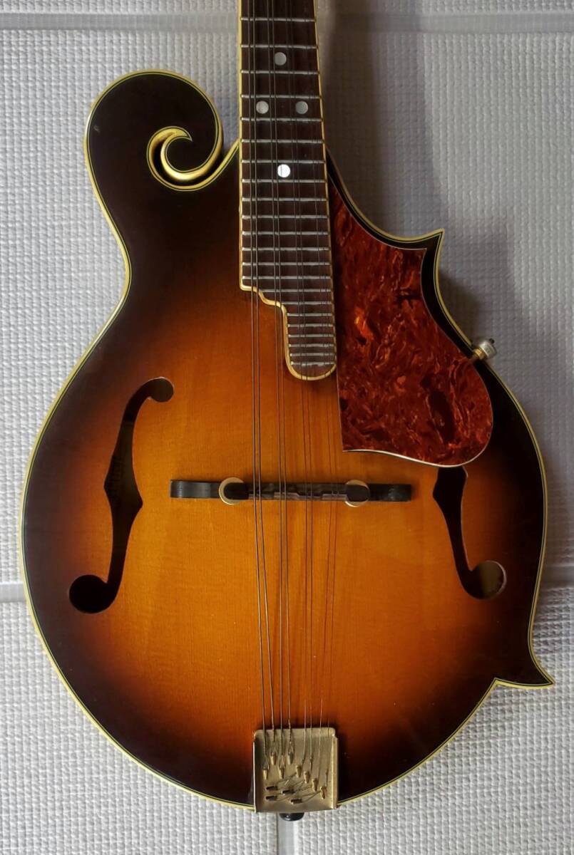 【傷や汚れあり】7306 ARIA Flat Mandolin AM-400 BSの落札情報詳細 - Yahoo!オークション落札価格検索 オークフリー