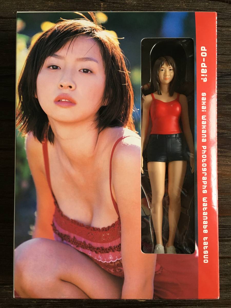 【やや傷や汚れあり】【22D0277】酒井若菜写真集「do-dai?」（初版、帯なし／箱あり）の落札情報詳細 - Yahoo!オークション落札価格検索 オークフリー