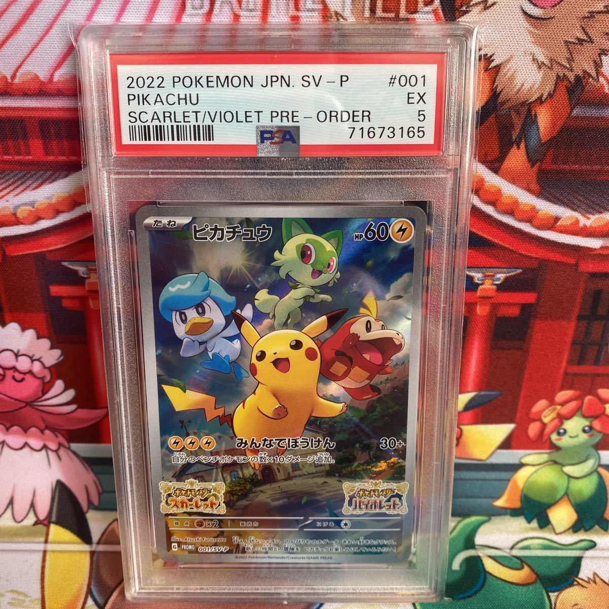 【未使用に近い】【PSA5】ポケモン ピカチュウ スカーレット バイオレット 001/SV-P プロモ Pokemon 2022 Japanese Pikachu Scarlet Violet ...