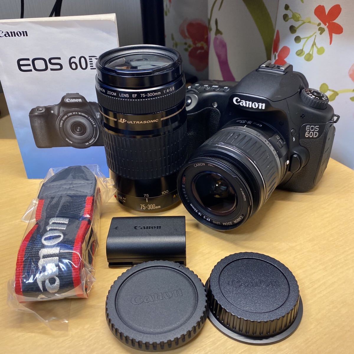 【やや傷や汚れあり】Canon EOS 60D ダブルレンズセットの落札情報詳細 - ヤフオク落札価格検索 オークフリー